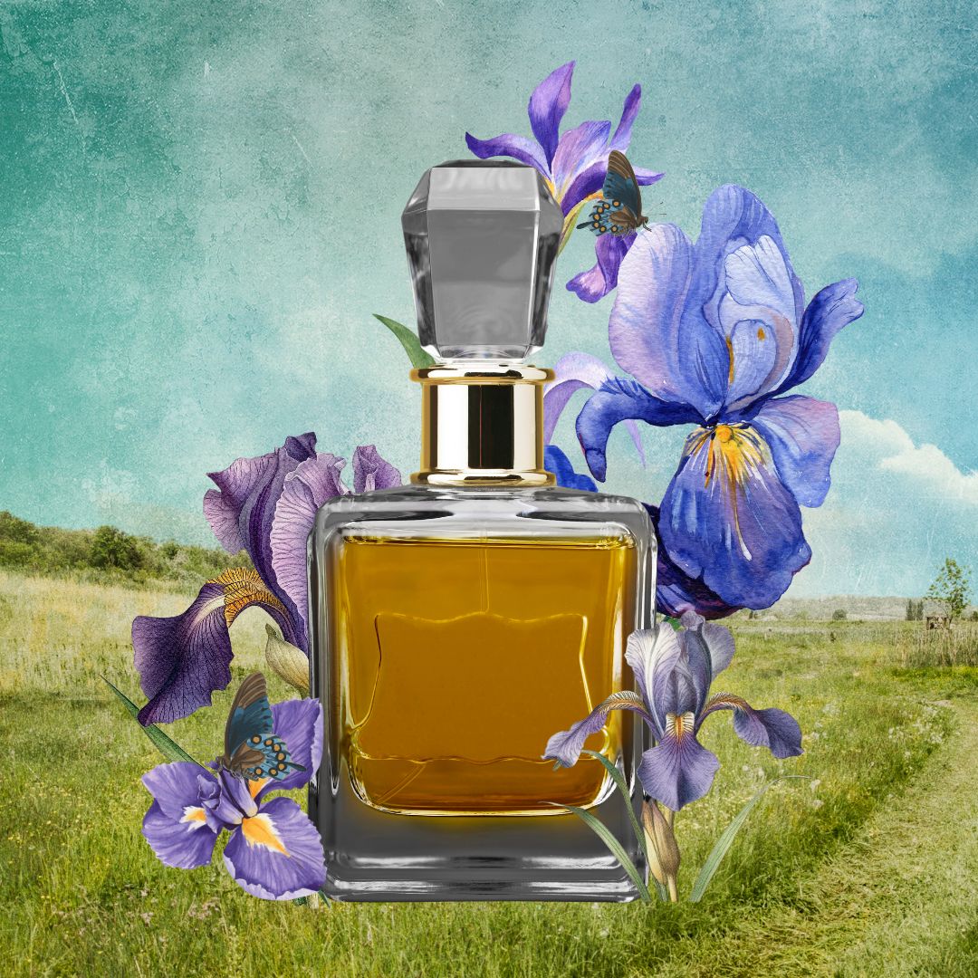 Everything To Know About Iris In Fragrances